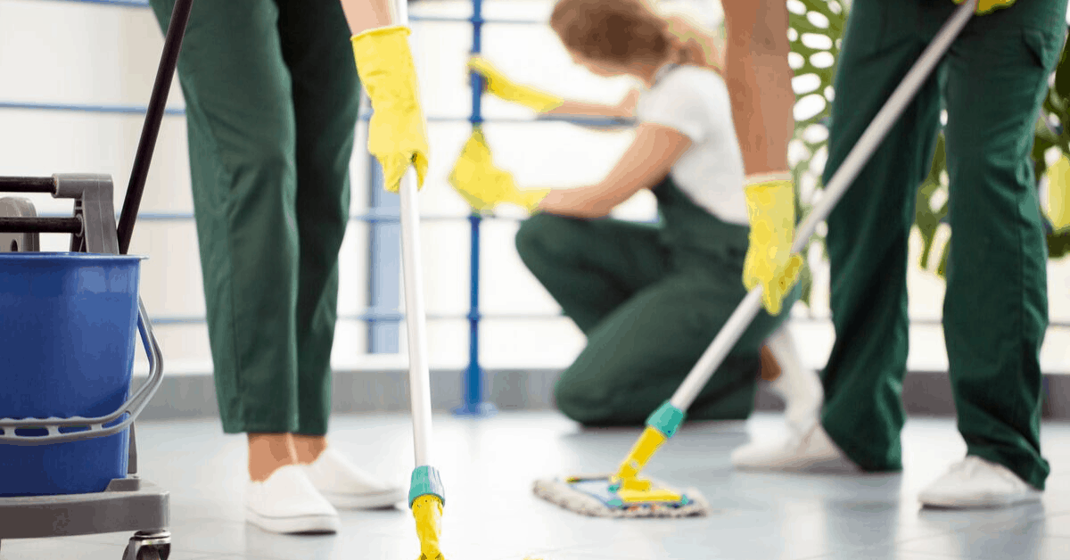 People Cleaning Png
